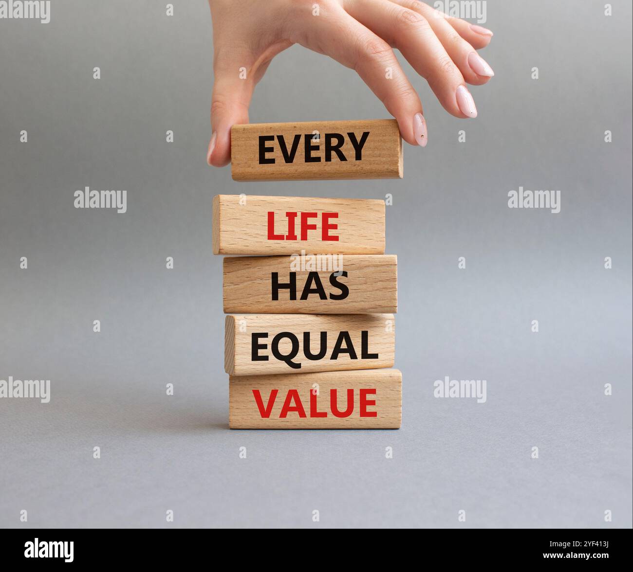 Equality symbol. Wooden blocks with words Every Life has Equal Value ...
