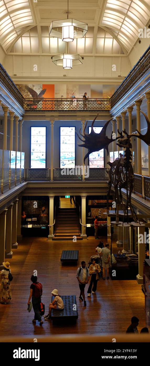 Elk room hi-res stock photography and images - Alamy