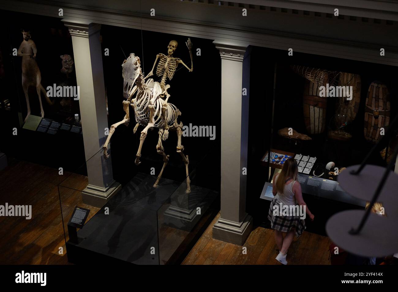 Skeleton of 'Sir Hercules' and a rider in the Long Gallery in the The ...