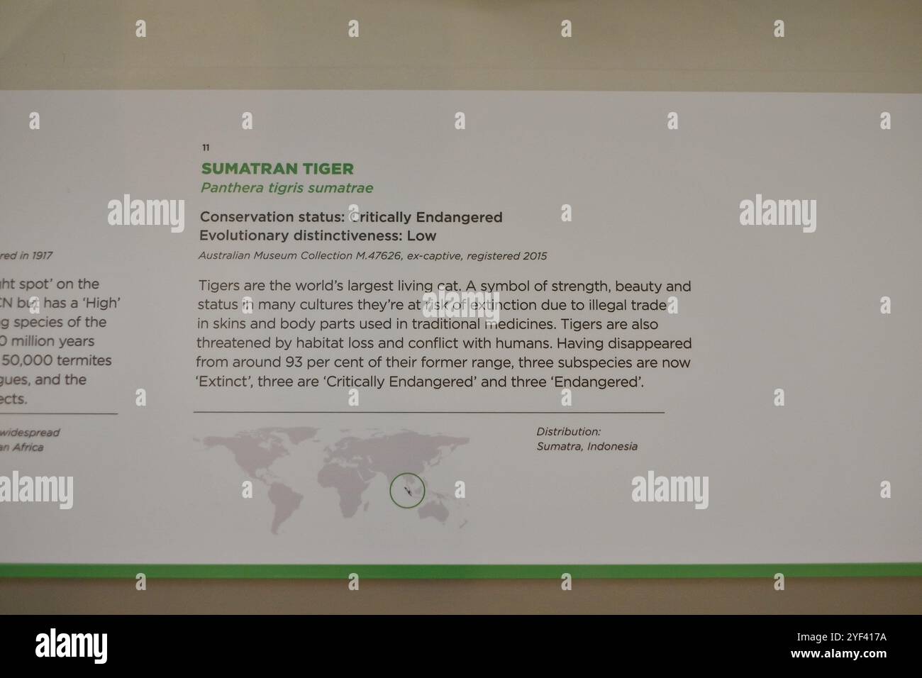 Plaque for the Sumatran Tiger display at the The Australian Museum ...