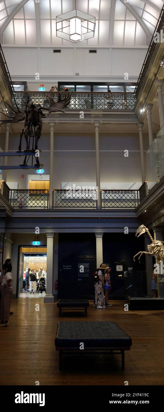 Long Gallery in the The Australian Museum, natural history exhibits on ...