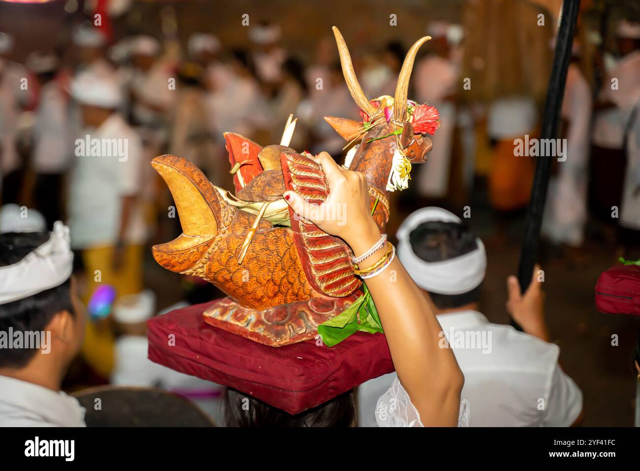 A woman carrying bull-fish statue offering on her head at Kuningan ...