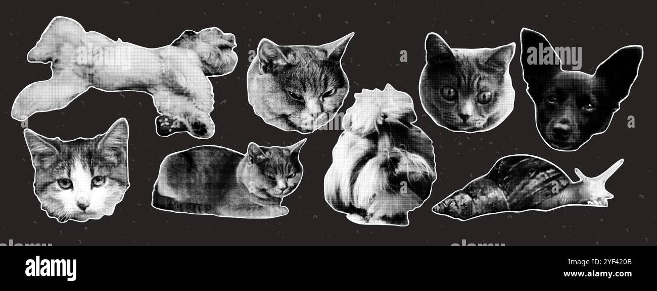 Retro punk halftone collage cat and dog set. Trendy elements in retro ...