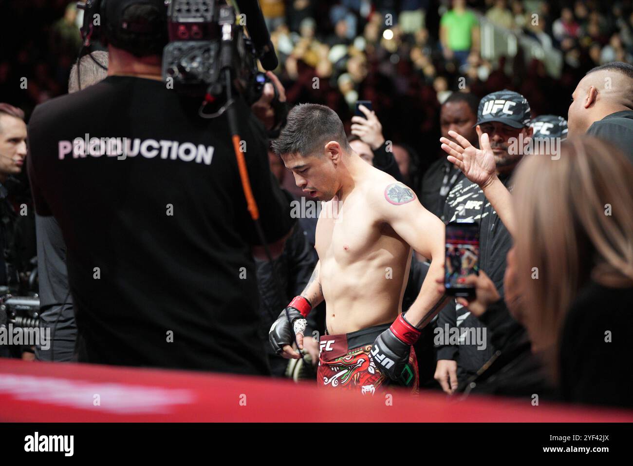 EDMONTON, CANADA - NOVEMBER 2: Amir Albazi battles Brandon Moreno in ...