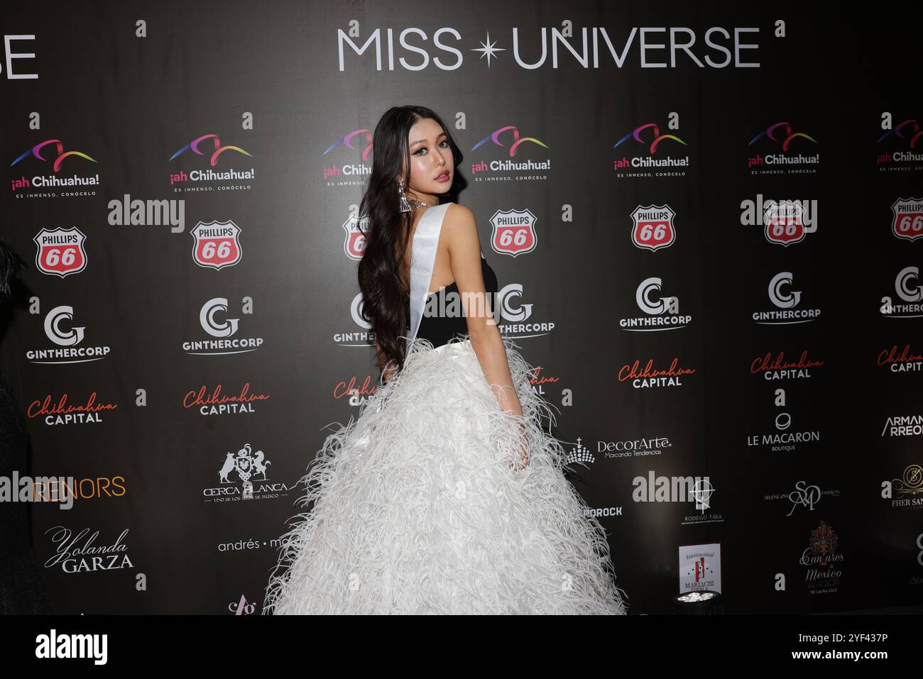 Mexico City, Mexico. 01st Nov, 2024. Miss Korea Ariel Han attends the ...