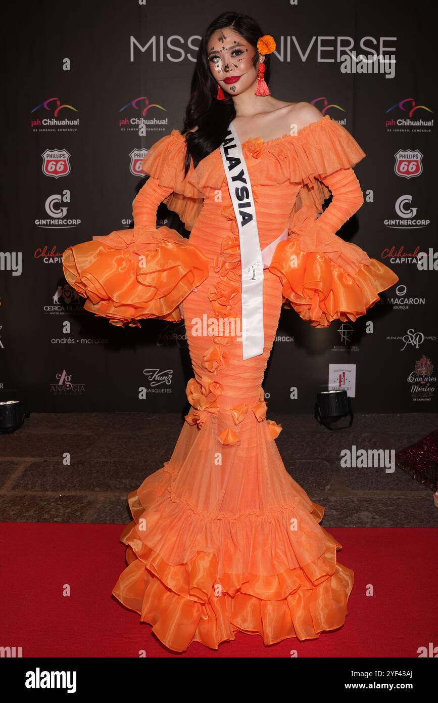 Miss Malaysia Sandra Lim attends the red carpet for Miss Universe ...