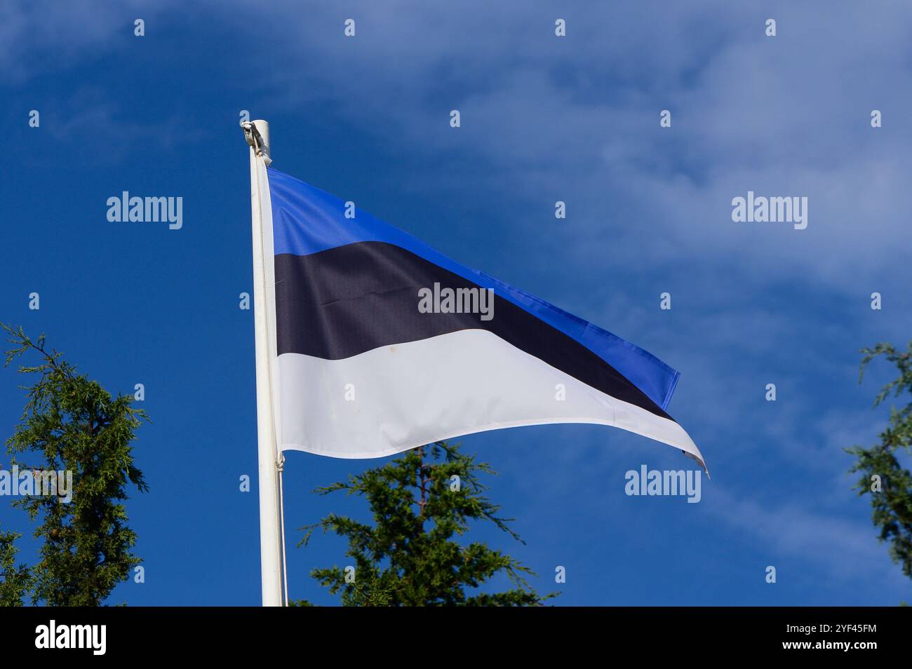The Estonian flag flutters proudly in the gentle breeze under a vibrant ...
