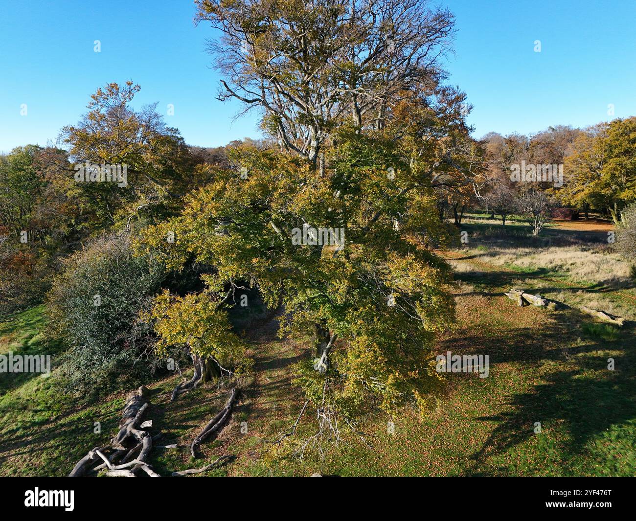 Aerial view of Mont Beuvray in the Morvan in Burgundy, France, with the ...