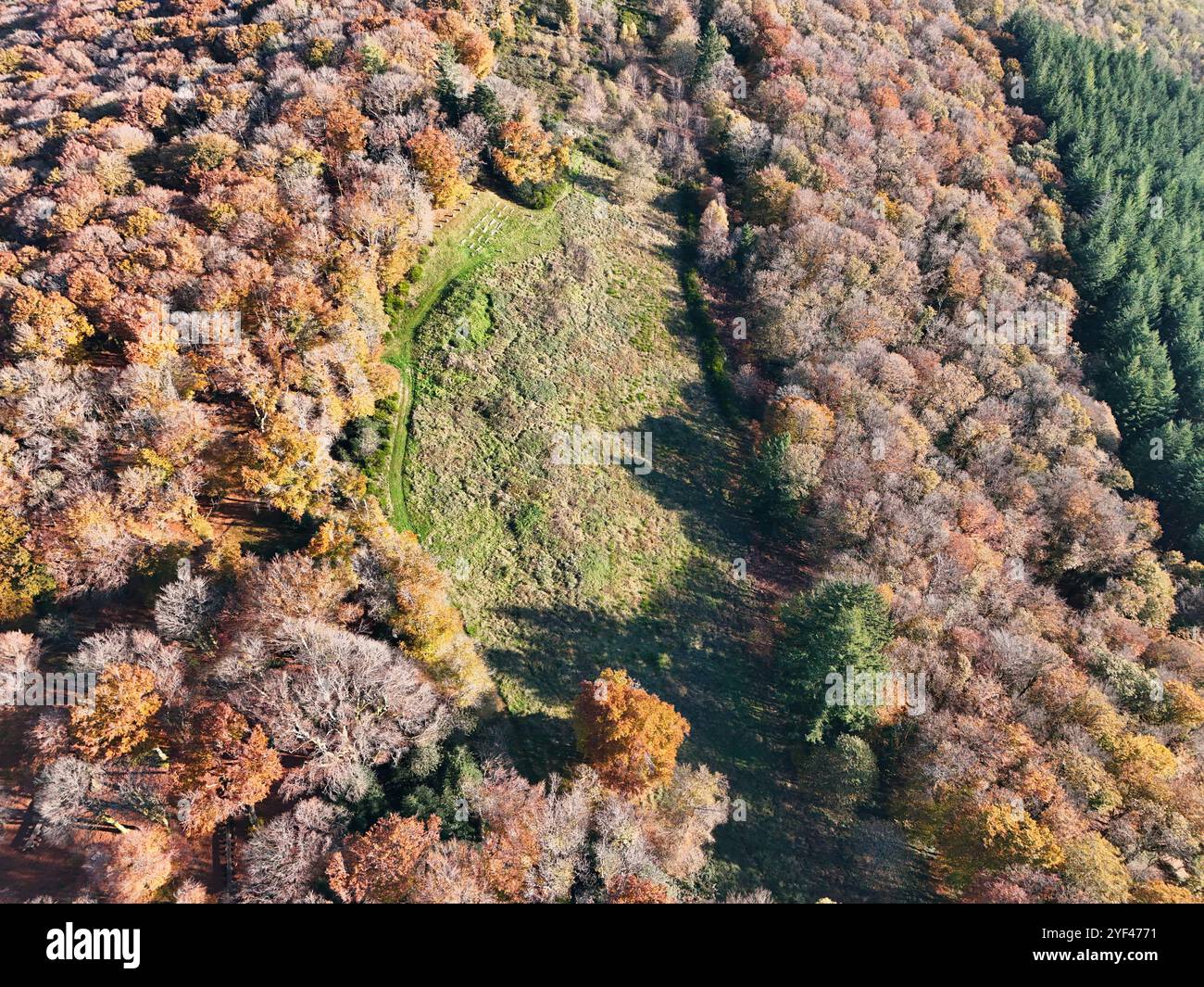 Aerial view of Mont Beuvray in the Morvan in Burgundy, France, with the ...
