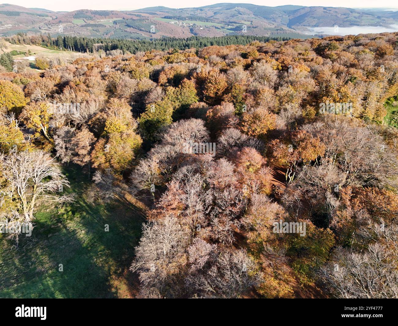 Aerial view of Mont Beuvray in the Morvan in Burgundy, France, with the ...