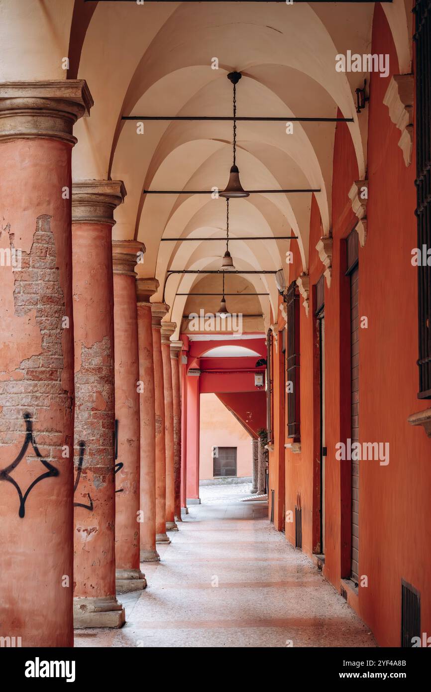 The porticoes of Bologna, an important cultural and architectural ...