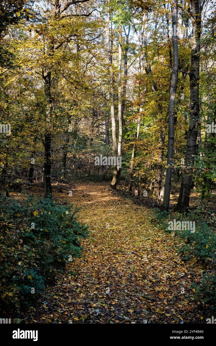 Seasonal natural scene, Tribec mountain range, Slovak republic. Travel ...