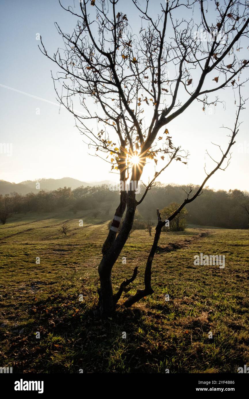 Tribec mountains hi-res stock photography and images - Alamy