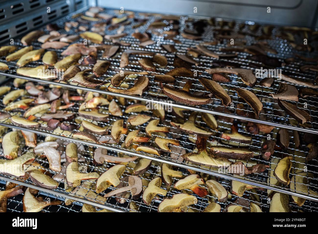 The image shows a food dehydrator packed with numerous pieces of ...