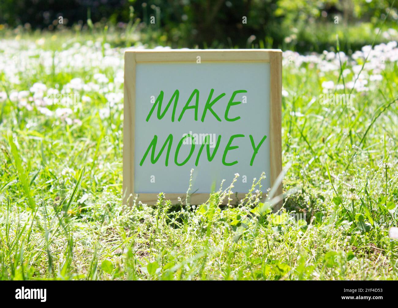Make Money symbol. Concept word Make Money on white chalk background ...