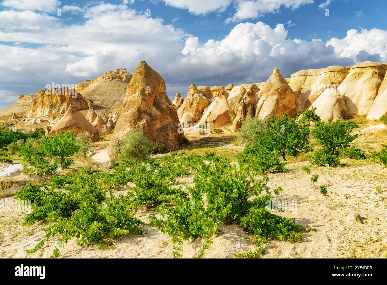 Cappadocia pasabag valley hi-res stock photography and images - Alamy