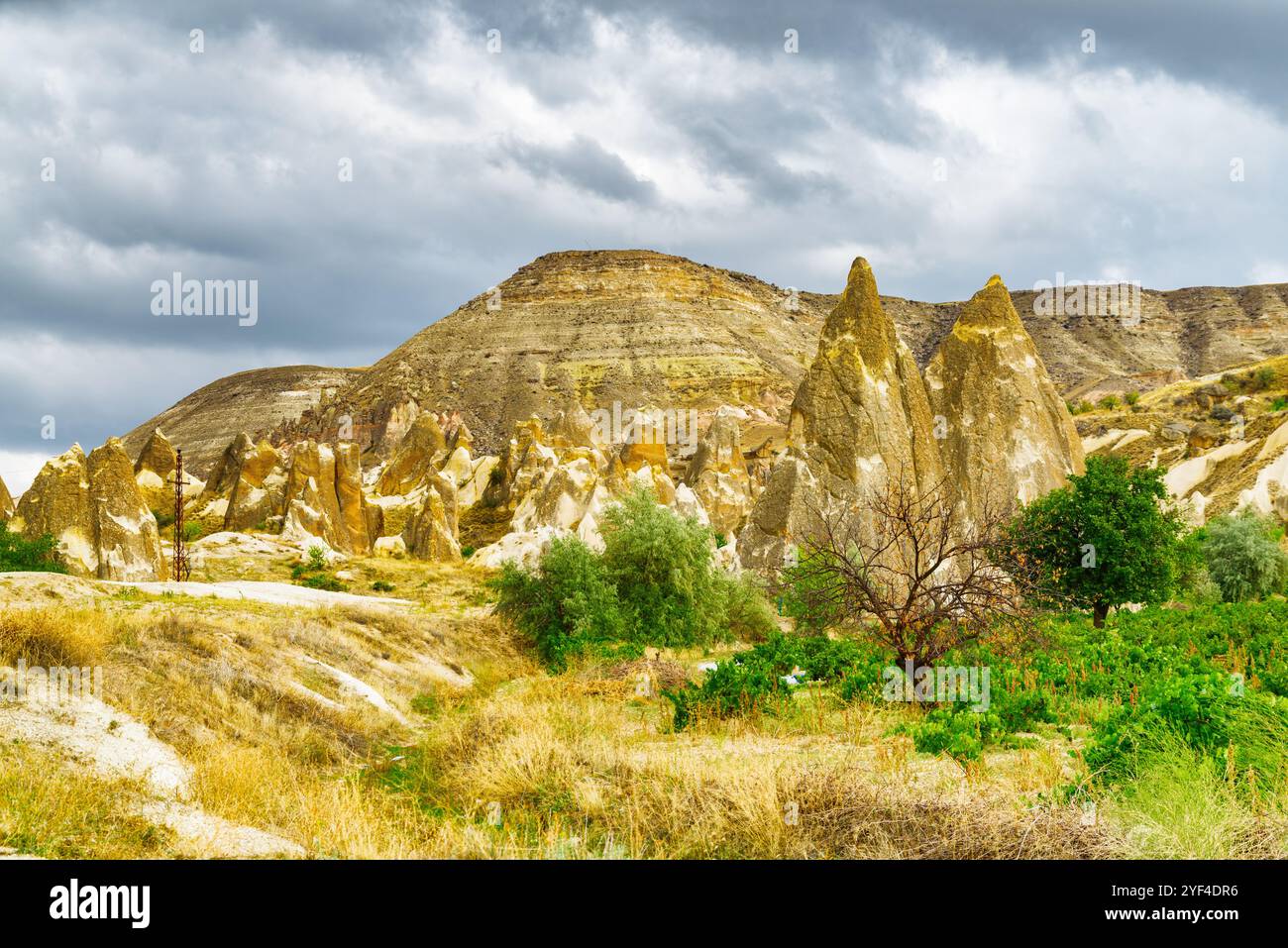 Awesome landscape of Pasabag valley in Cappadocia, Turkey Stock Photo ...