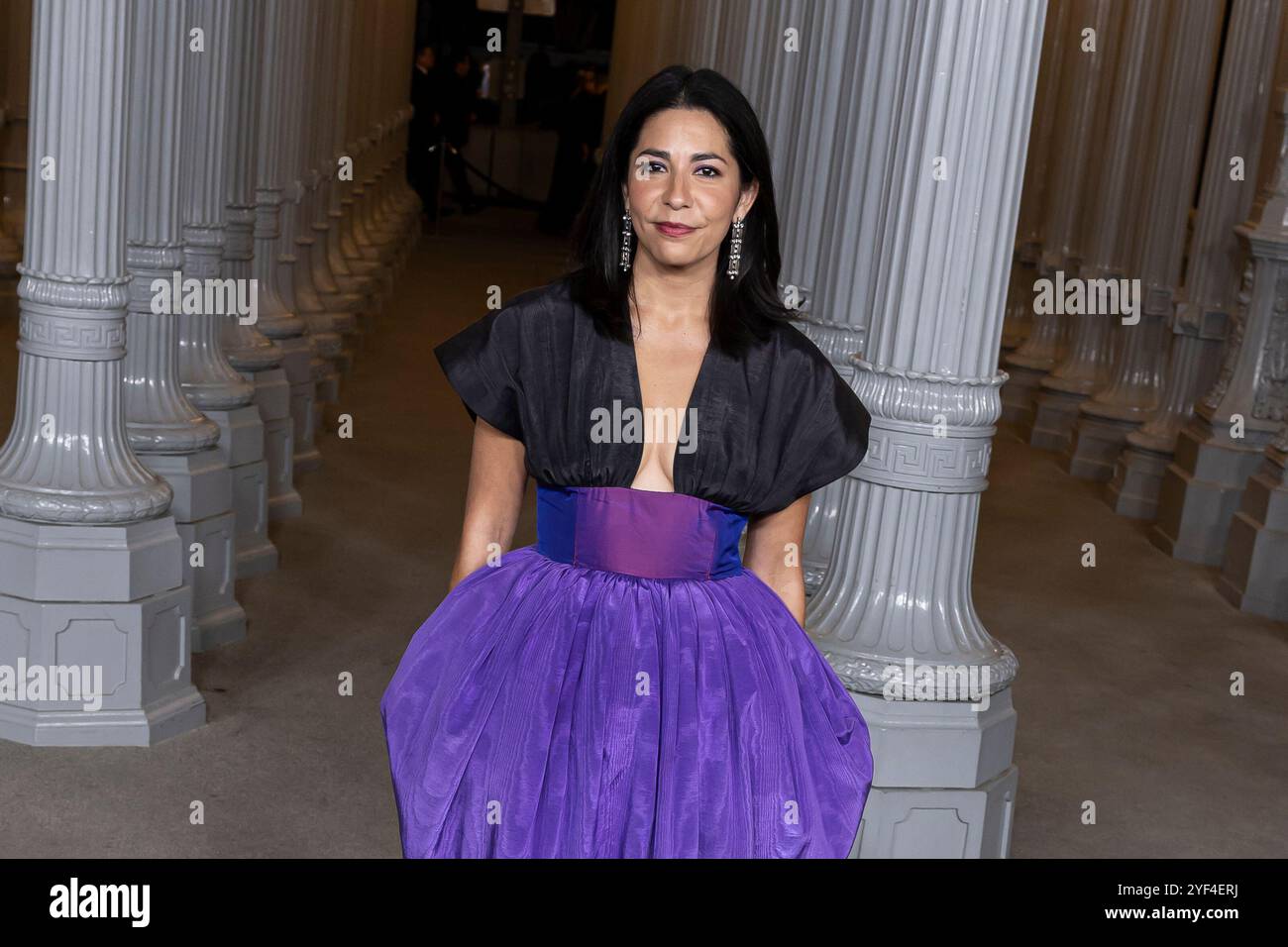 Los Angeles, USA. 02nd Nov, 2024. Amy Homma attends the arrivals of the ...
