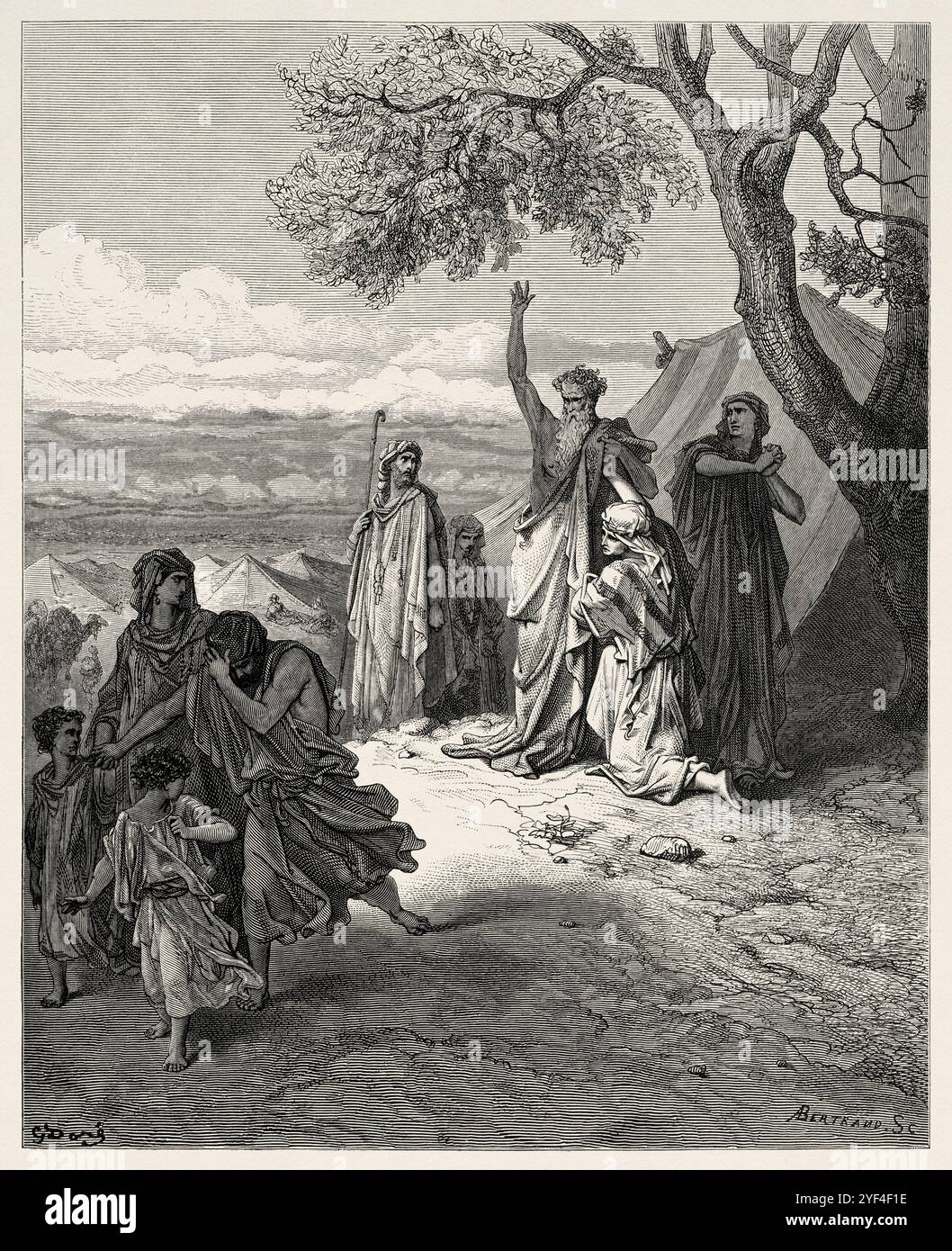 Noah cursed Ham. Old Testament. Antique bible illustration by Gustave ...