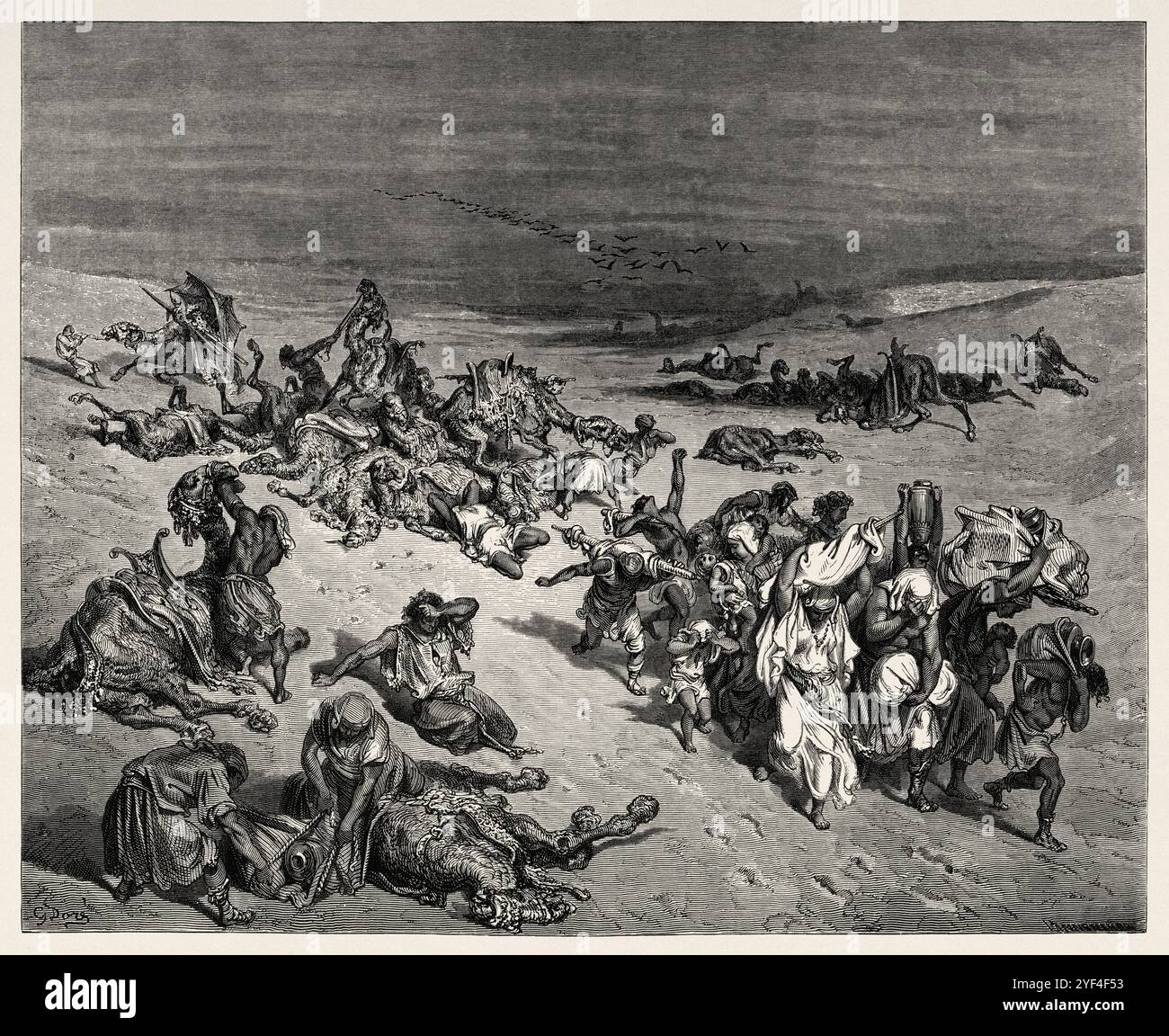 Bible plague murrain hi-res stock photography and images - Alamy