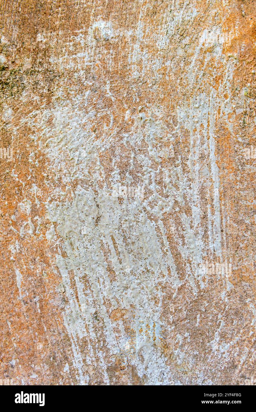 textured beige plaster wall background. The surface shows rough, uneven ...