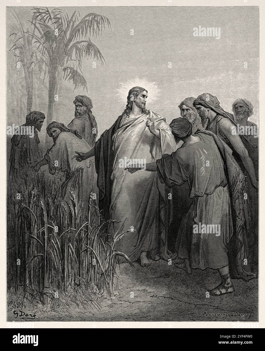 Disciples plucking corn on the Sabbath. Jesus went on the sabbath day ...