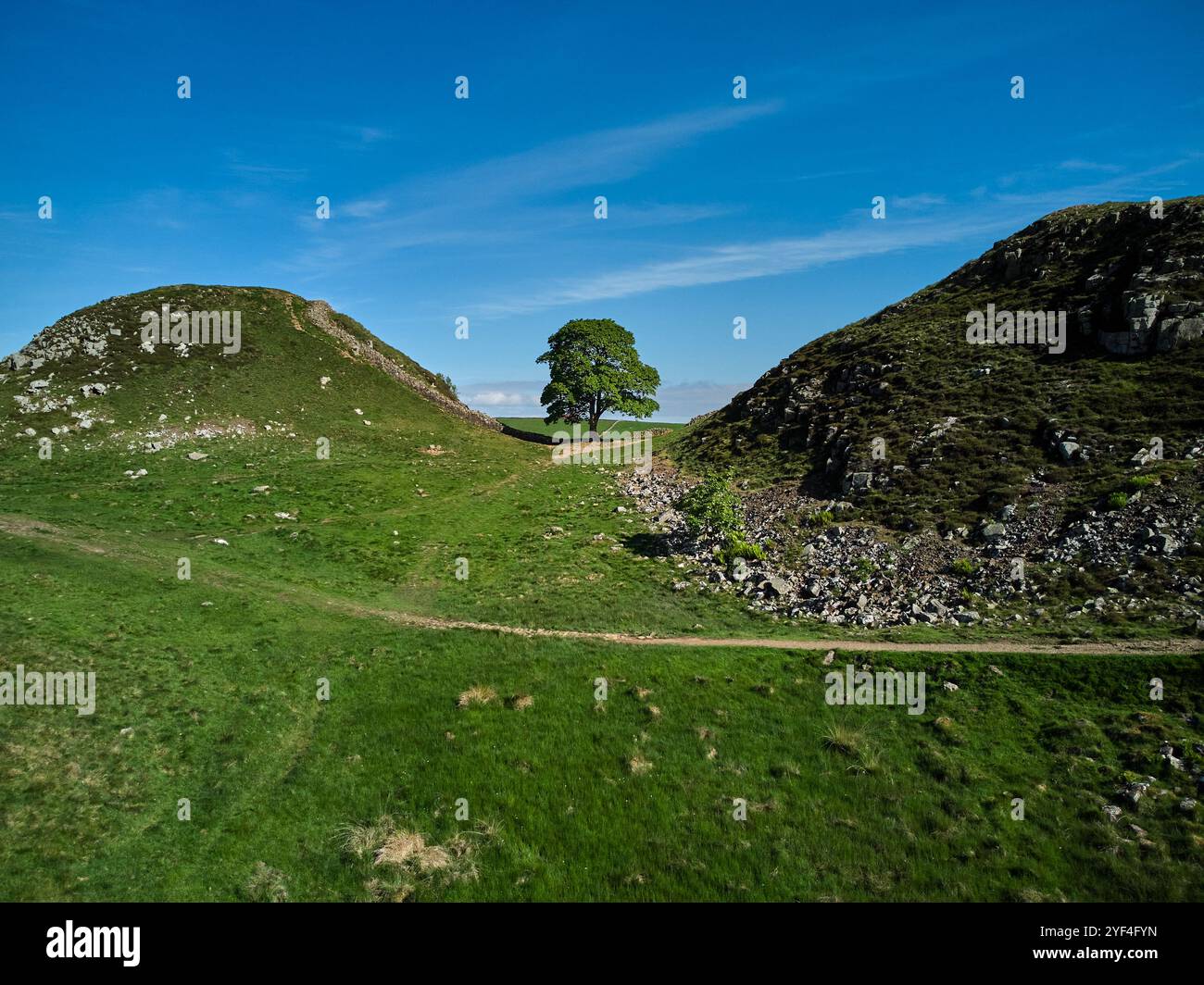 Pictured is Sycamore gap tree Stock Photo - Alamy