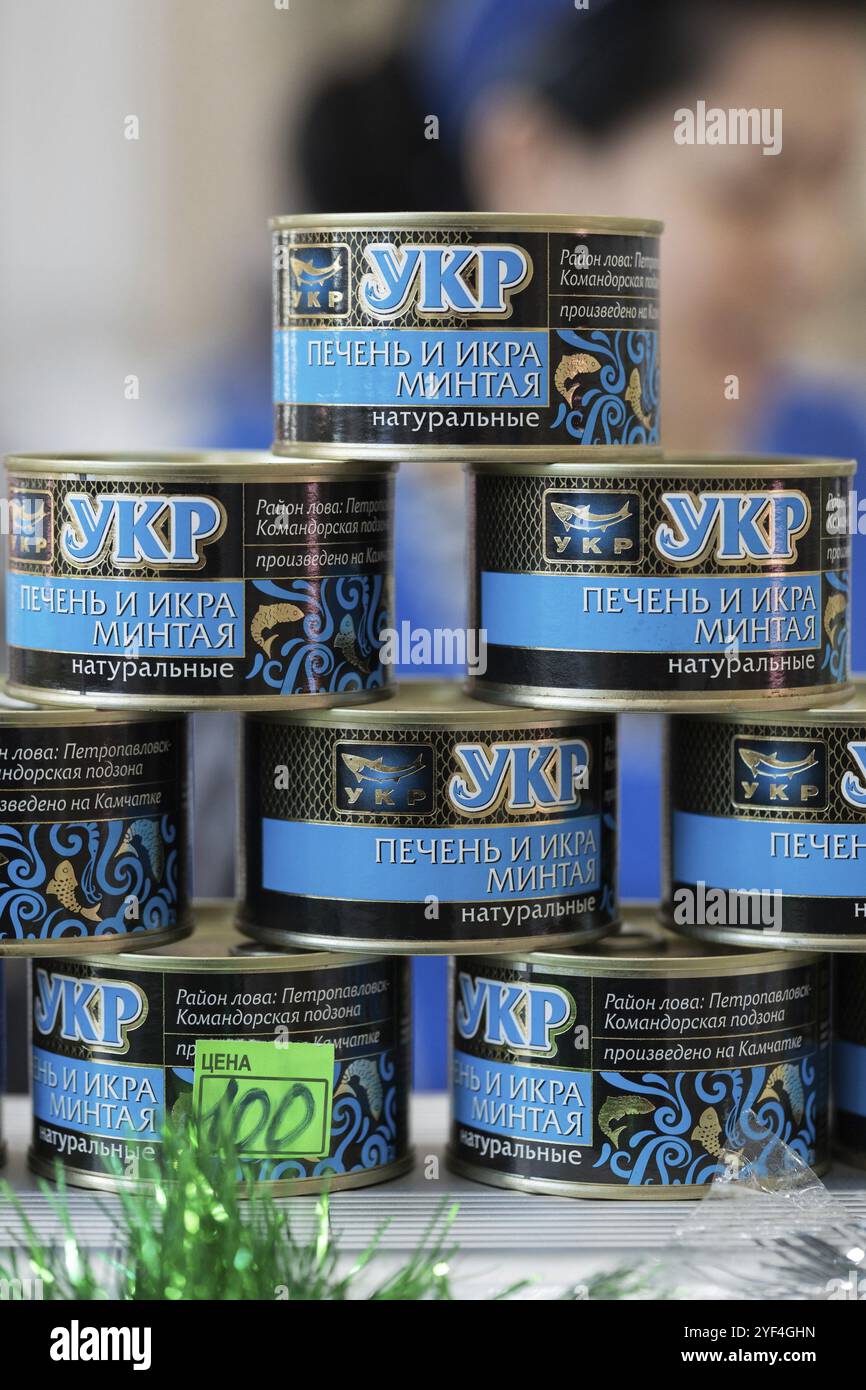 PETROPAVLOVSK CITY, KAMCHATKA PENINSULA, RUSSIAN FAR EAST, 2 DEC, 2018 ...