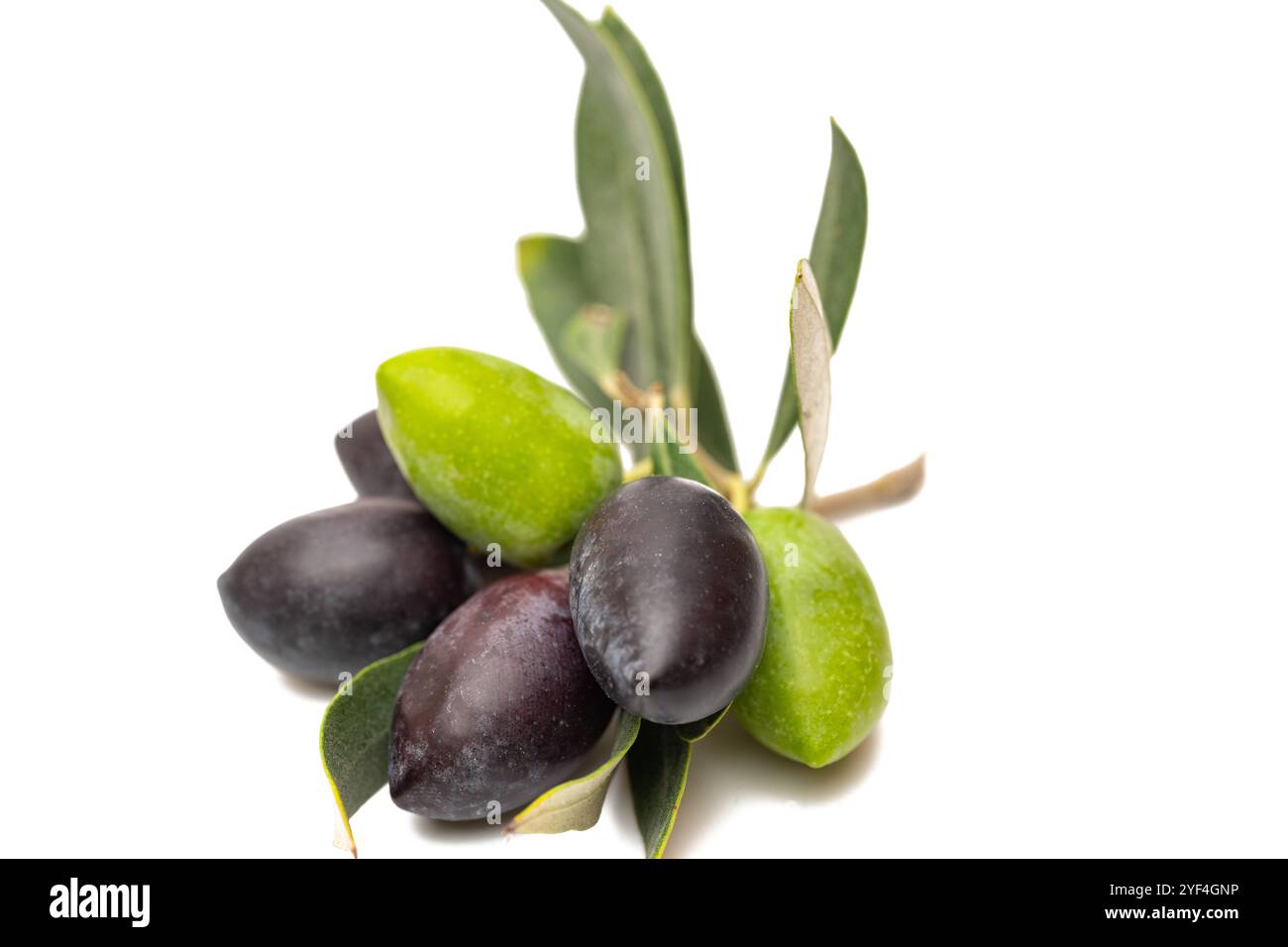 fresh olives isolated on white background Stock Photo - Alamy