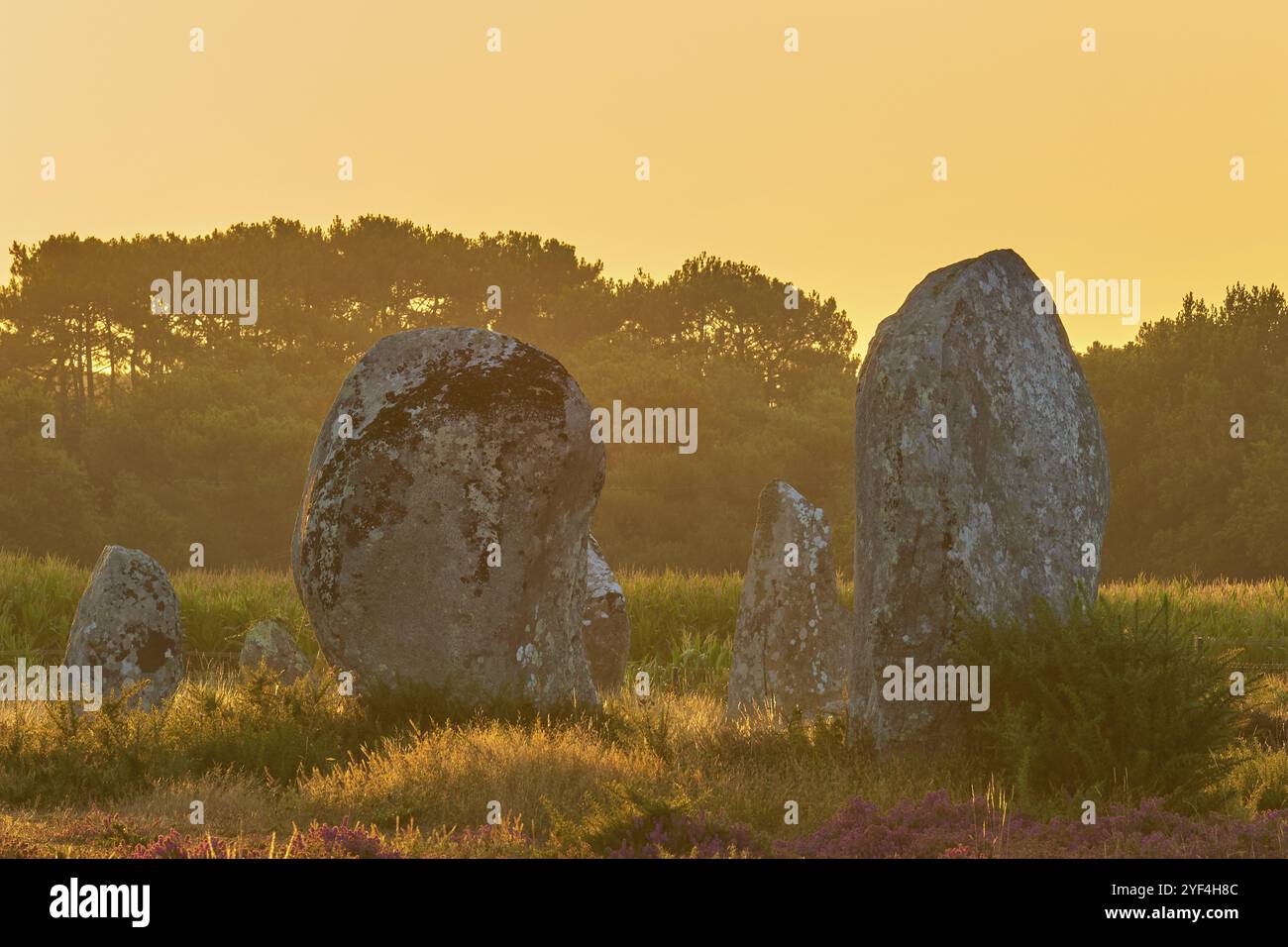 Neolithic menhirs, standing stones in Carnac with sunrise, Carnac ...
