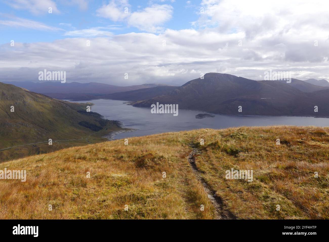 Johnsomervilleiet hi-res stock photography and images - Alamy