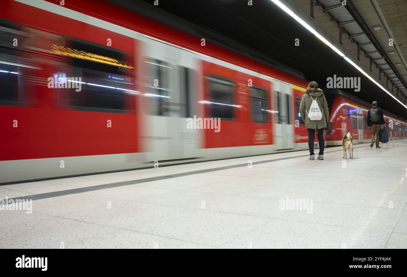 Traveller, dog, underground arriving S-Bahn, train, class 420 in ...