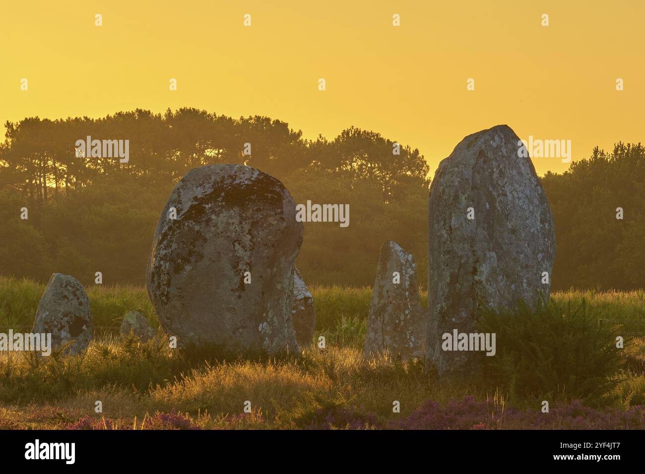 Neolithic menhirs, standing stones in Carnac with sunrise, Carnac ...