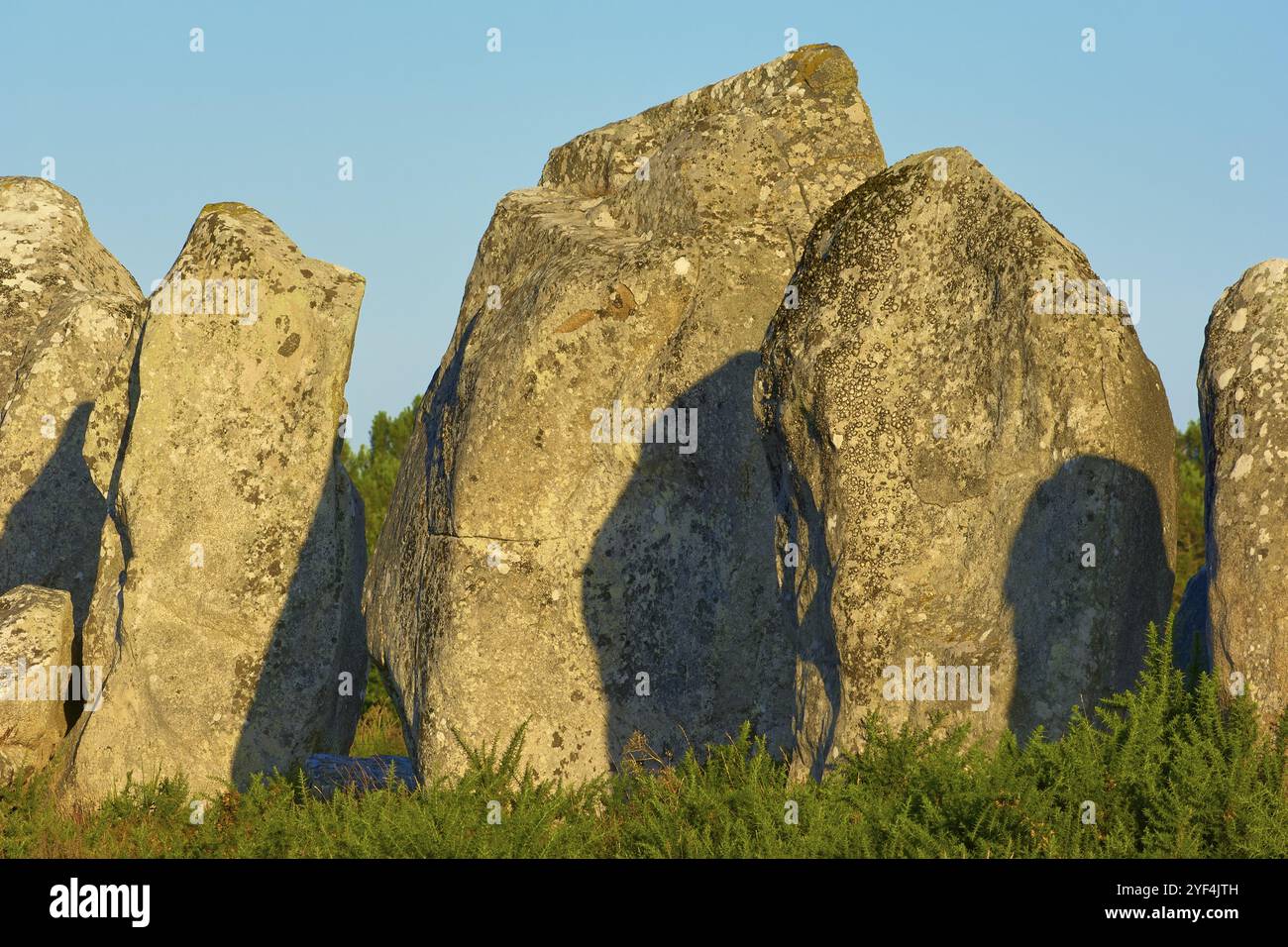 Neolithic menhirs, standing stones in Carnac with sunrise, Carnac ...