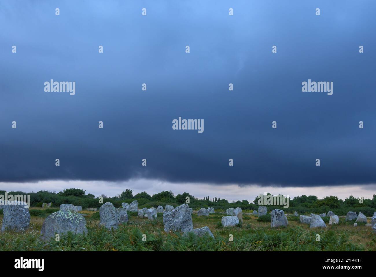 Neolithic menhirs, standing stones in Carnac with dramatic stormy sky ...