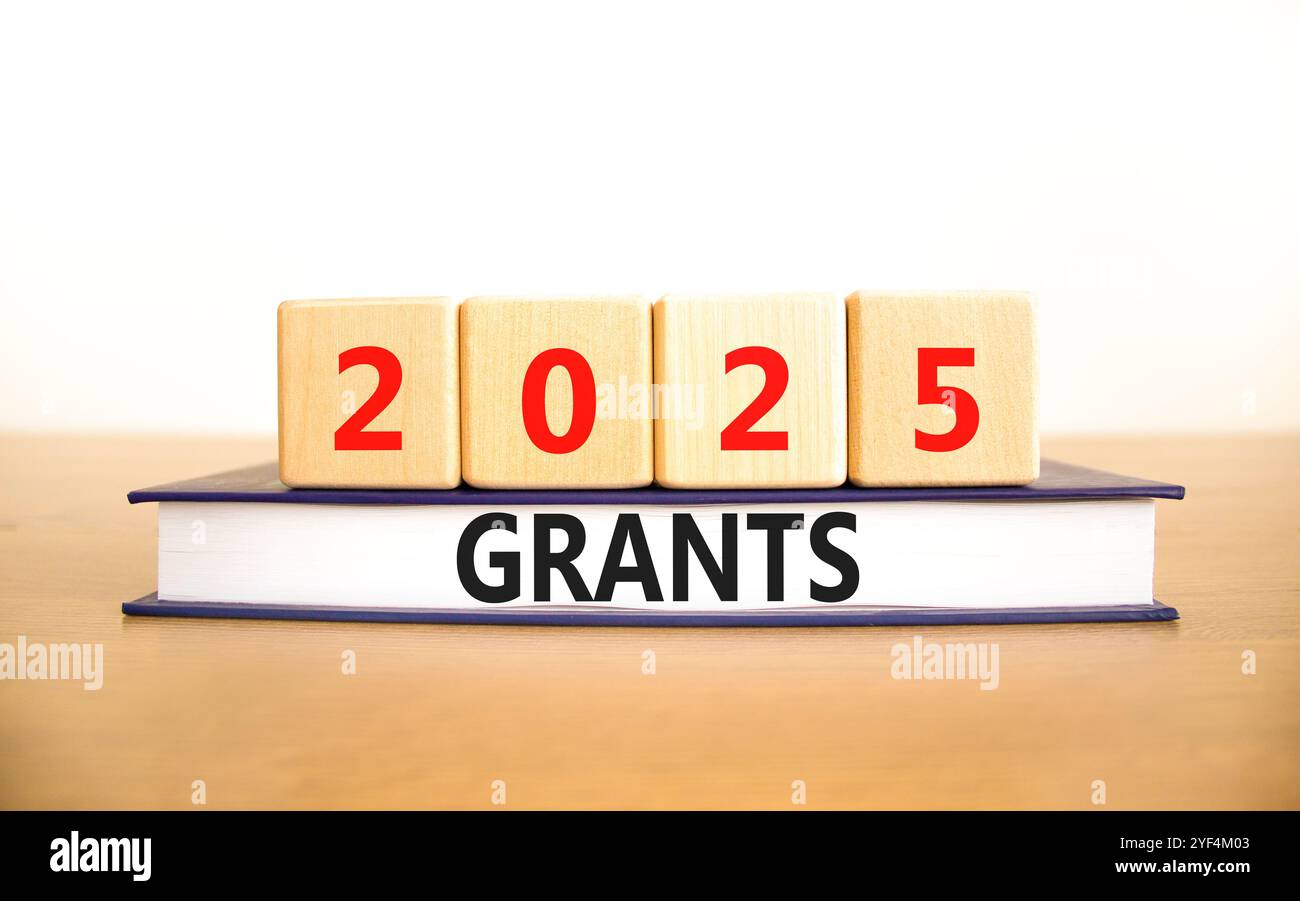 Planning 2025 grants new year symbol. Concept words 2025 Grants on ...