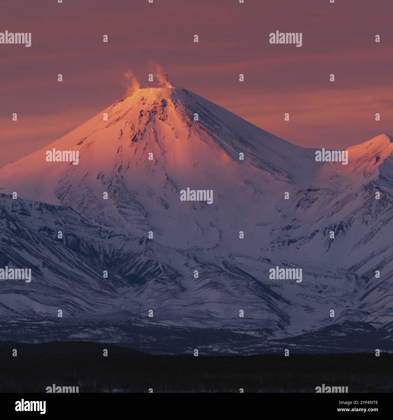 Winter volcanic landscape of Kamchatka Peninsula at purple-violet ...