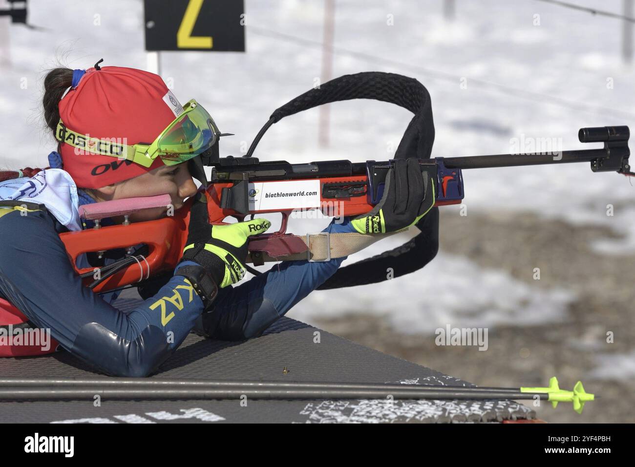 Sportswoman biathlete aiming, rifle shooting, reloading prone position ...