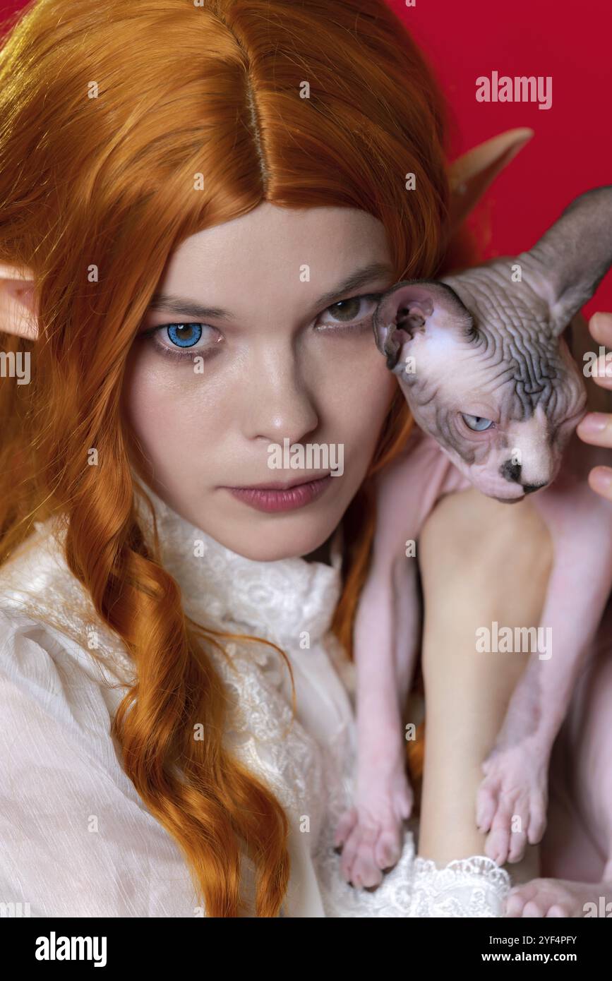 Red cat looks in different hi-res stock photography and images - Alamy