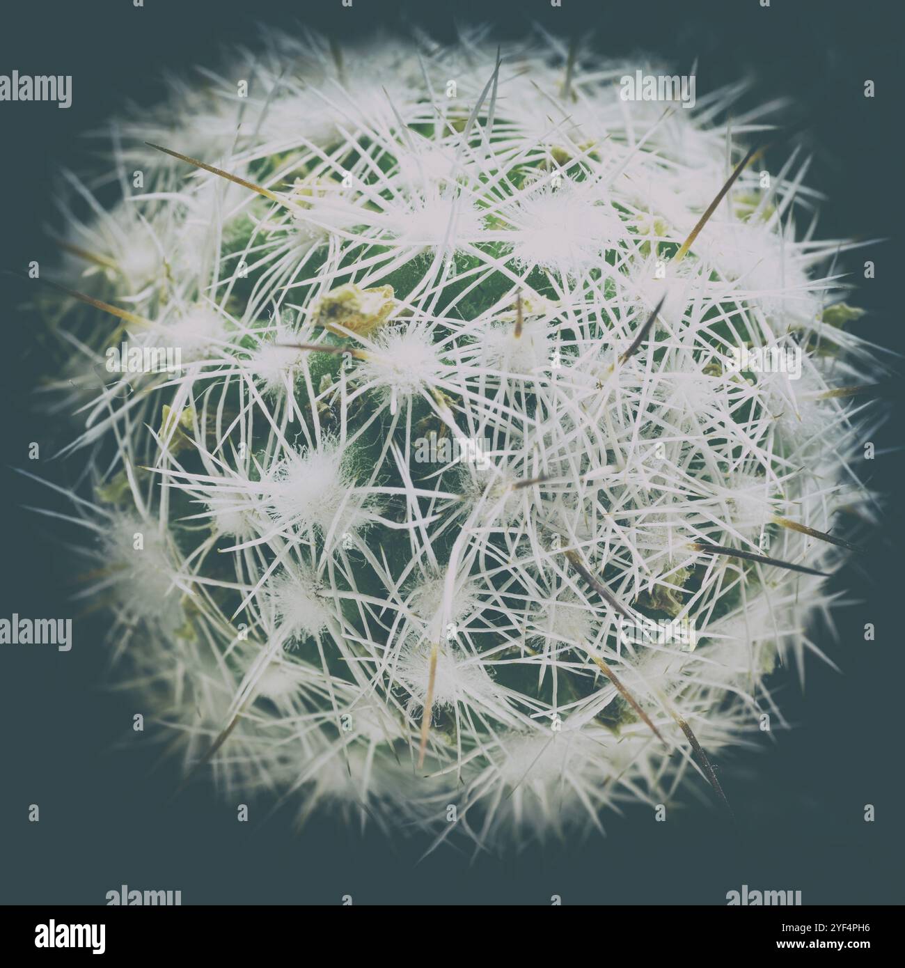 Poor software hi-res stock photography and images - Alamy