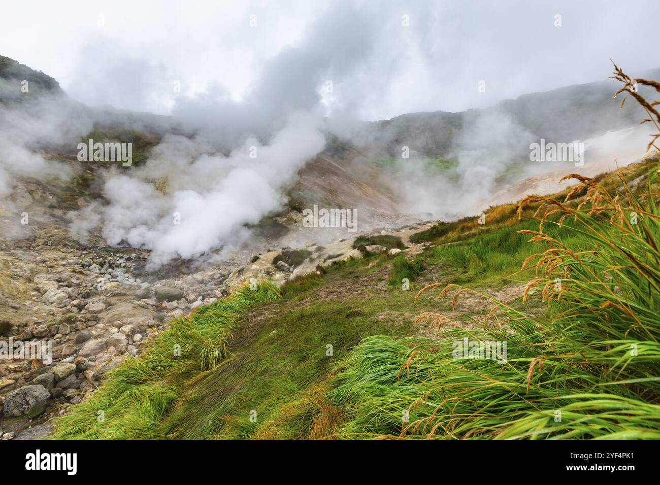 Thrilling view of volcanic landscape, aggressive hot spring, erupting ...