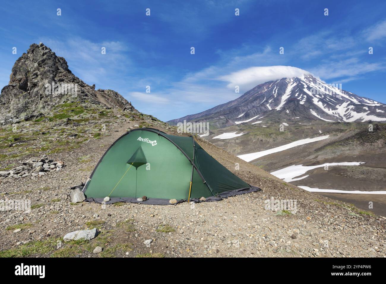 Russian red fox hi-res stock photography and images - Alamy