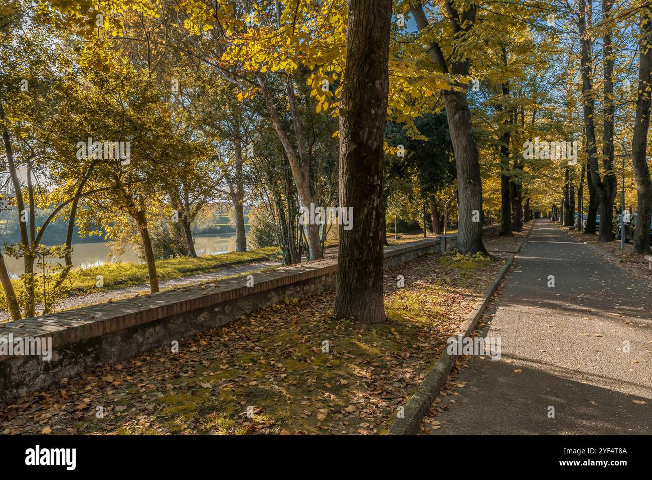 The long pedestrian path of Viale delle Piagge avenue in Pisa, Italy ...