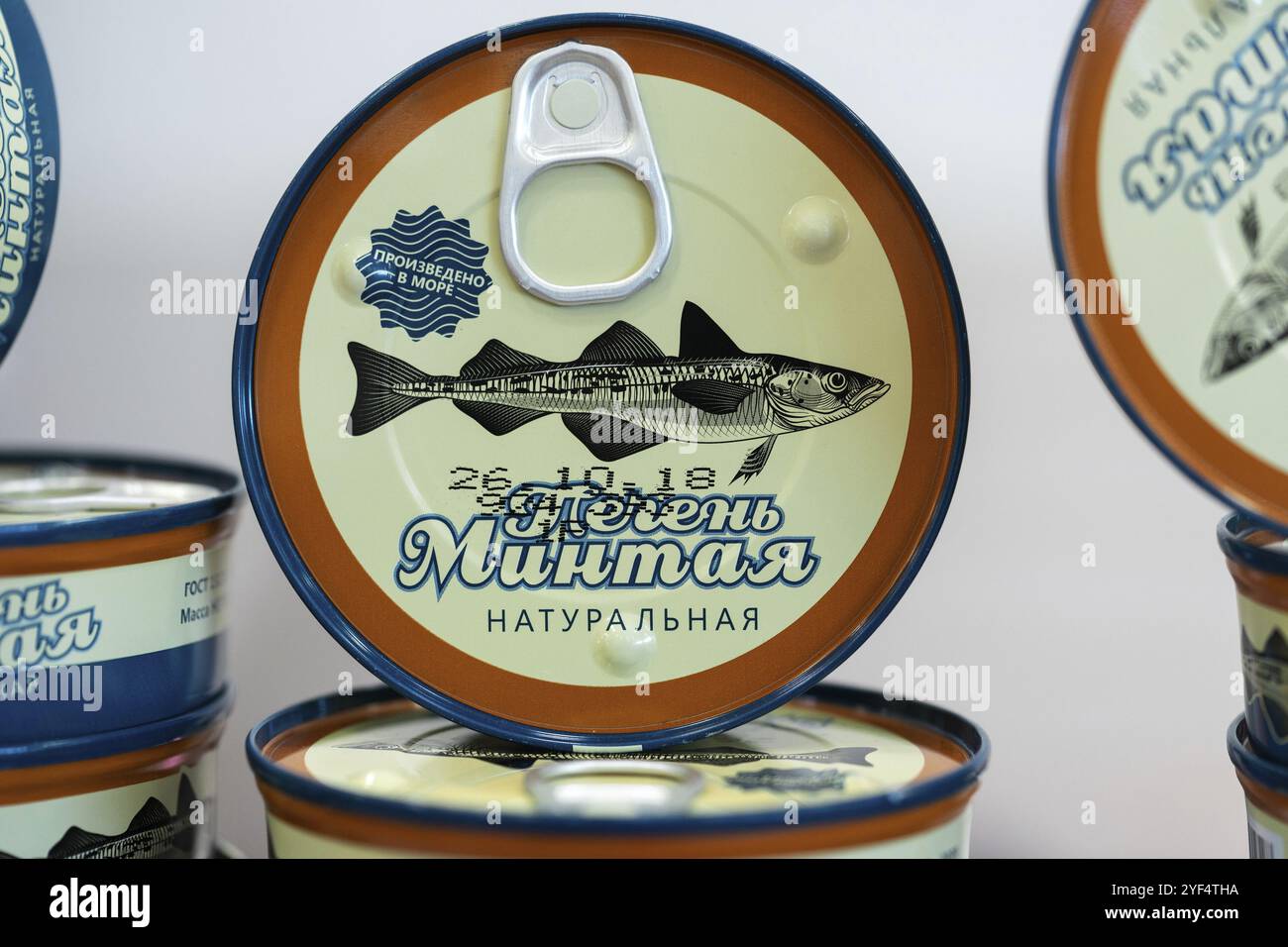 PETROPAVLOVSK KAMCHATSKY CITY, KAMCHATKA PENINSULA, RUSSIAN FAR EAST, 2 ...