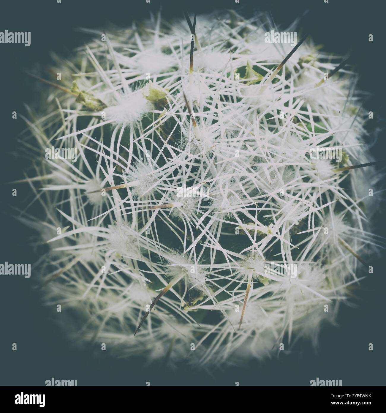 Vintage outer space pictures hi-res stock photography and images - Alamy