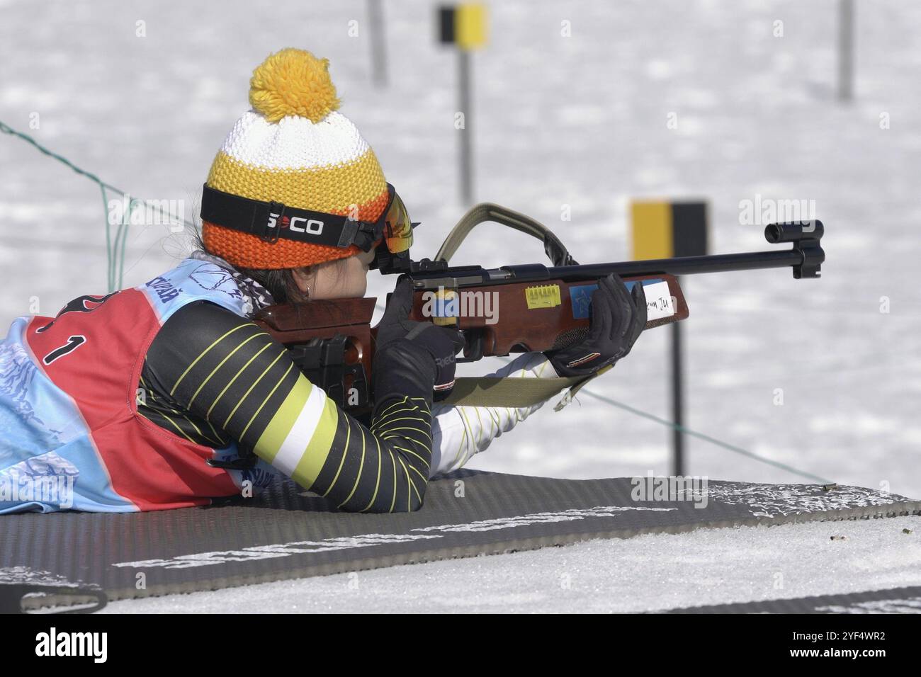 Sportswoman biathlete aiming, rifle shooting prone position. South ...