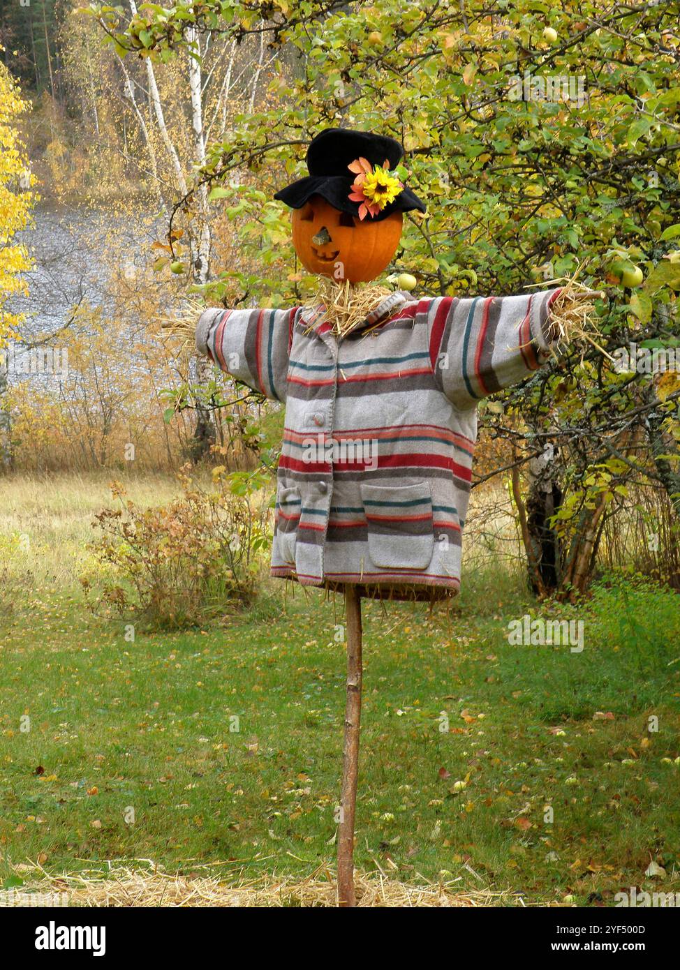 Halloween man in garden Stock Photo - Alamy