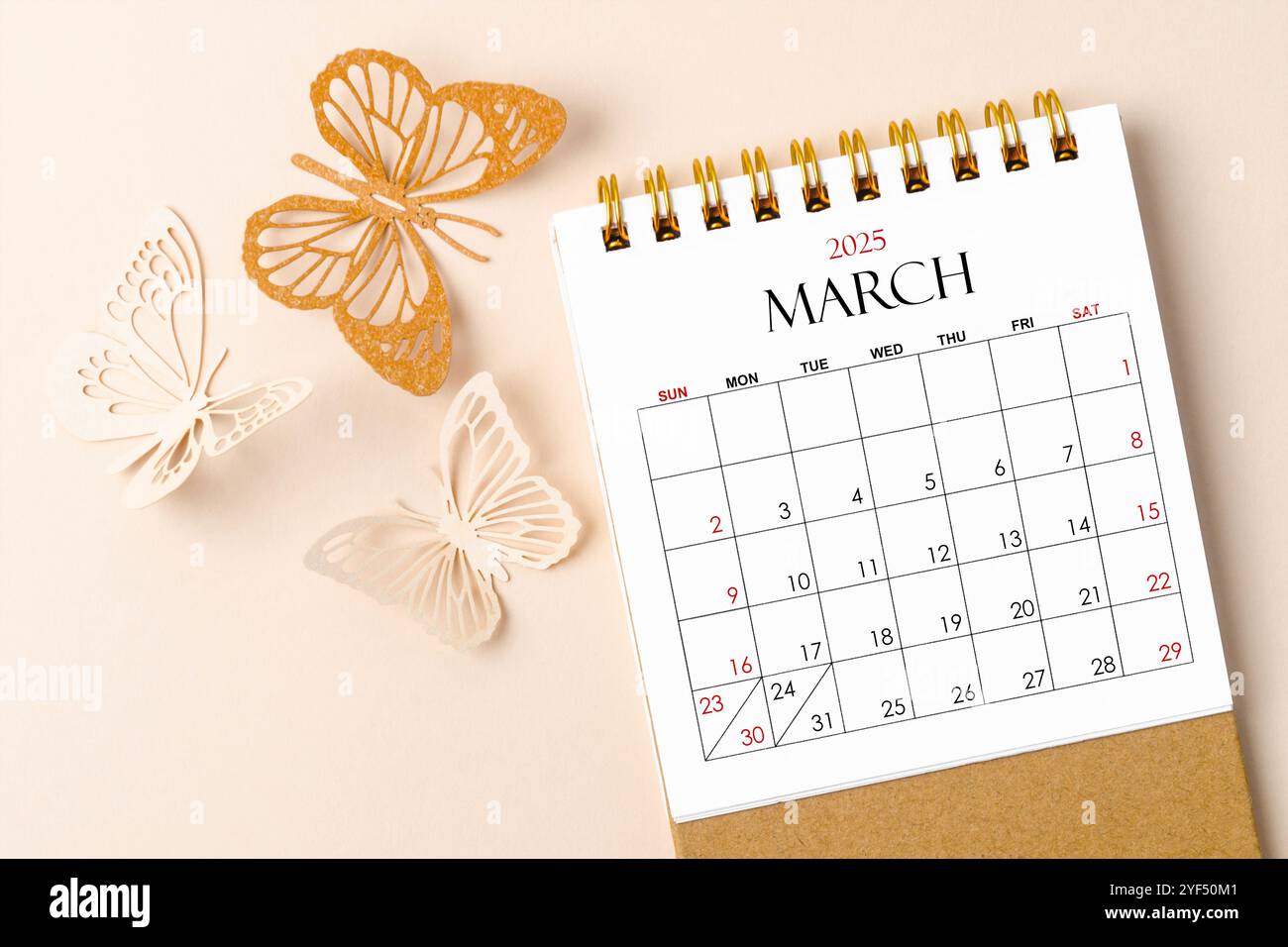 March 2025 desk calendar for the organizer to plan and reminder and ...