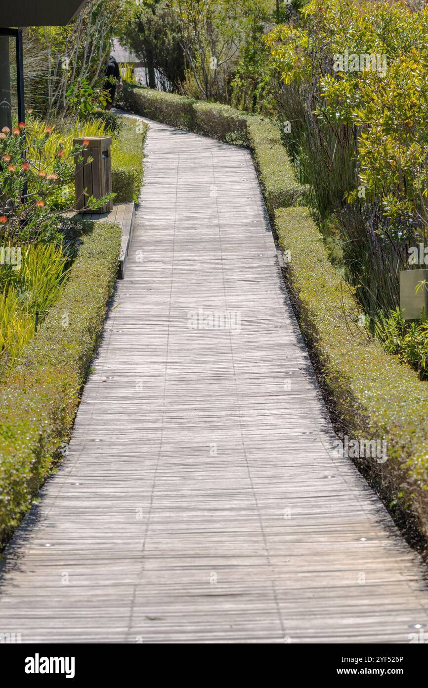 wooden slatted pathway, footpath, walkway bordered by LED outdoor solar ...