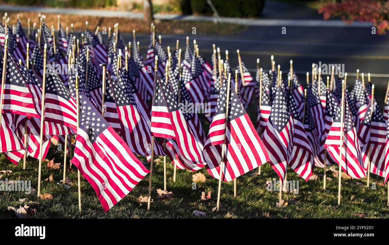 American flags planted in the ground hi-res stock photography and ...